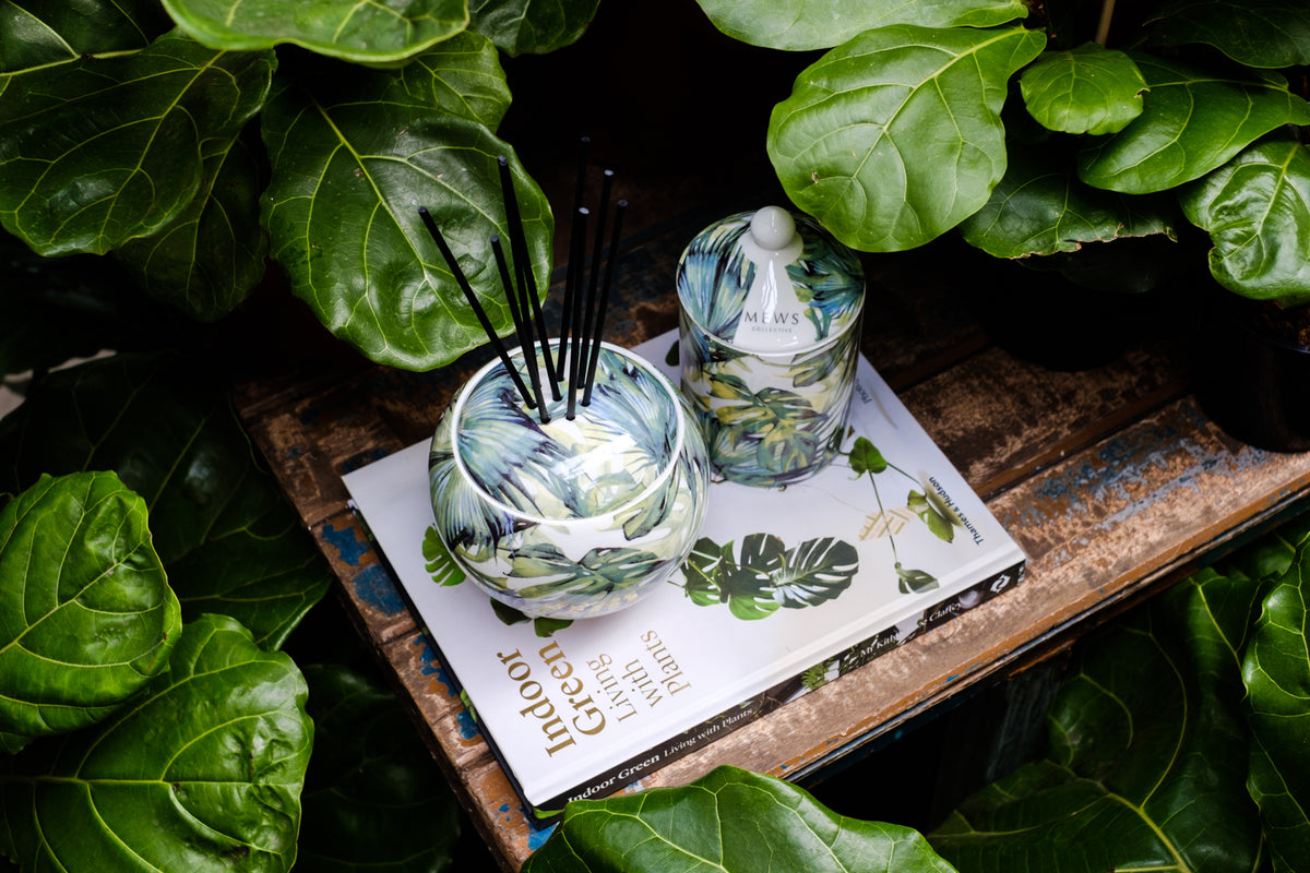 Mews Collective Green Sage & Cedar Large Reed Diffuser (350ml ...